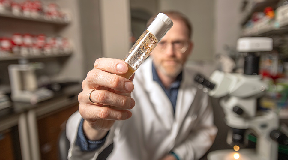 Fruit fly model identifies key regulators behind organ development ...