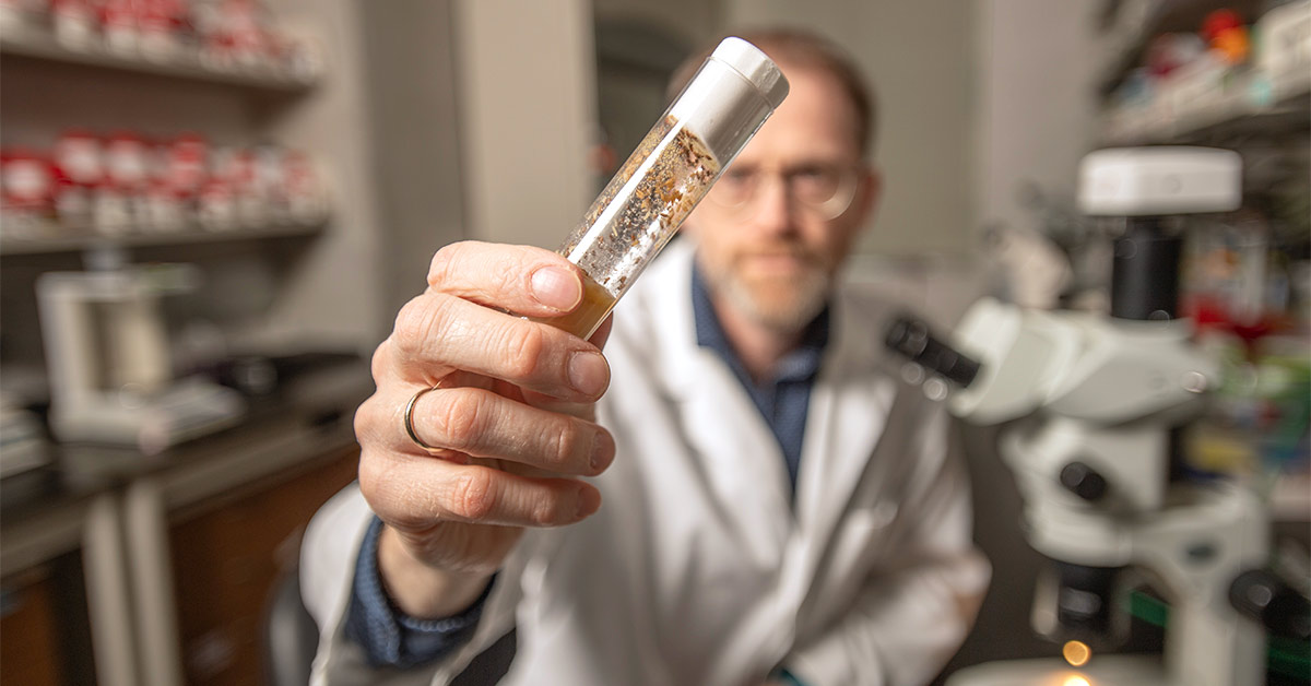 Fruit fly model identifies key regulators behind organ development ...