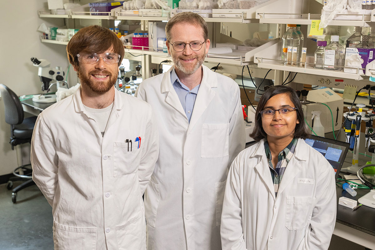 Piezo proteins, sculptors in organ growth - College of Engineering